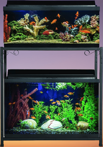 New Fish Tank Stand For Multiple Tanks (Top 5 Choices)